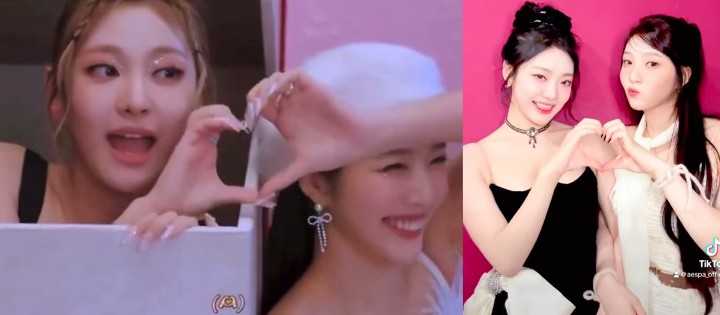 Joy ve Ningning'in Görsel Uyumu