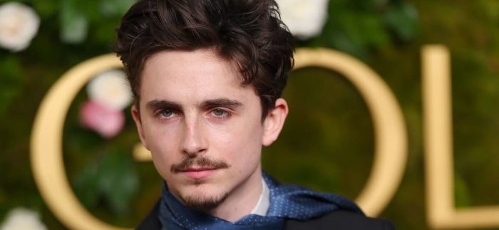 Timothée Chalamet, Yakın Zamanda Saçını Kestirip Sakal Bıraktı